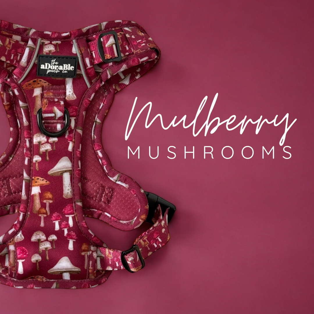 Mulberry Mushrooms – The aDoraBle Pooch Company