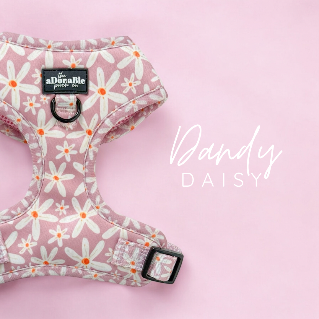 Dandy Daisy – The aDoraBle Pooch Company