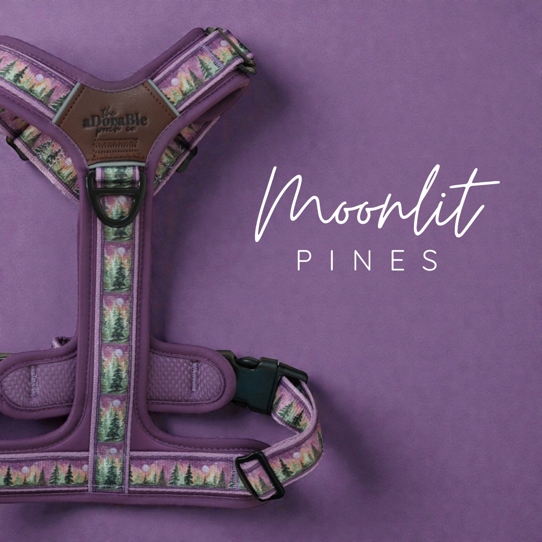 Moonlit Pines – The aDoraBle Pooch Company