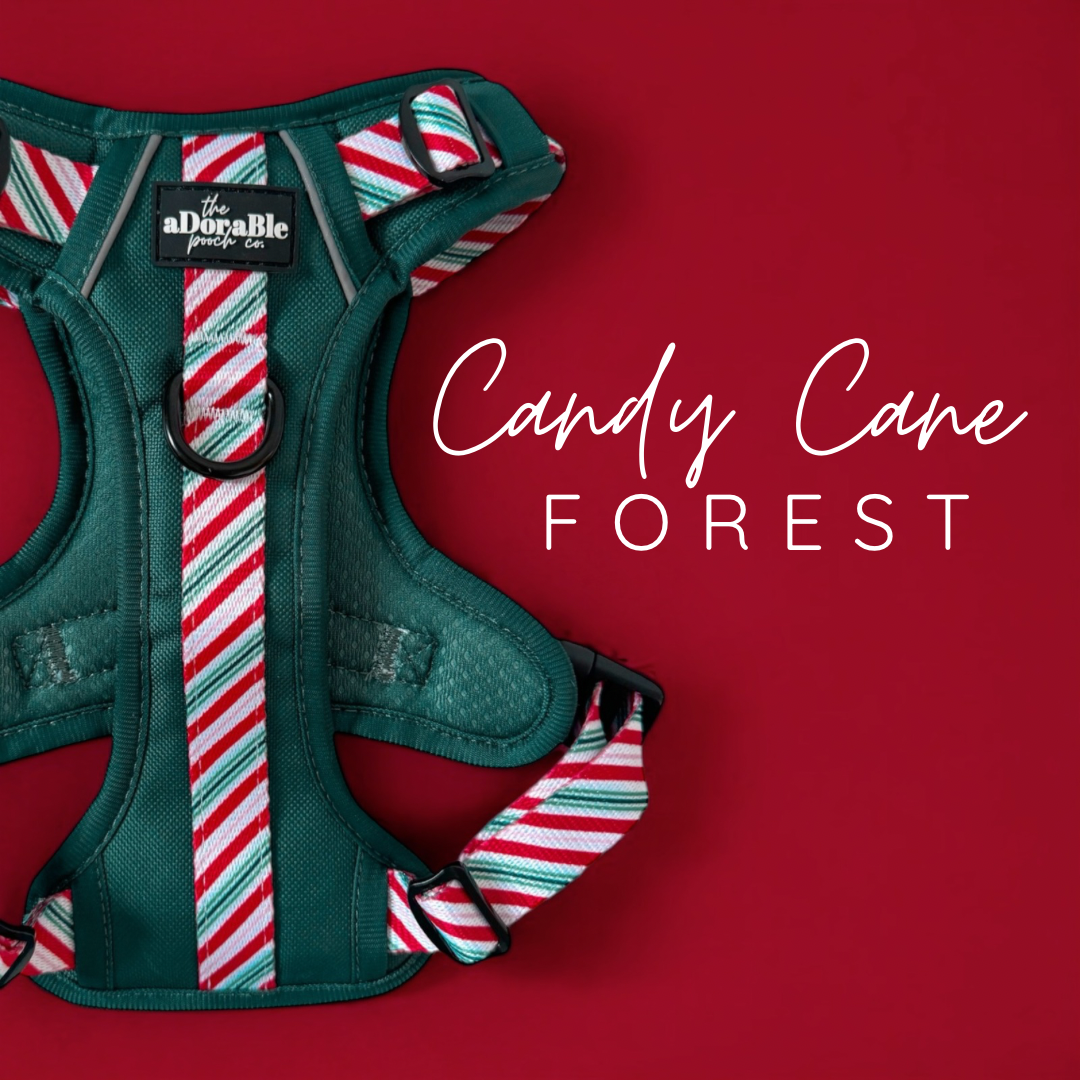 Candy Cane Forest – The aDoraBle Pooch Company