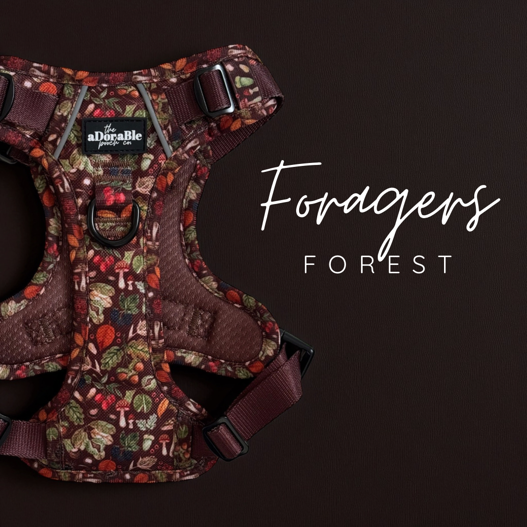 Foragers Forest – The aDoraBle Pooch Company