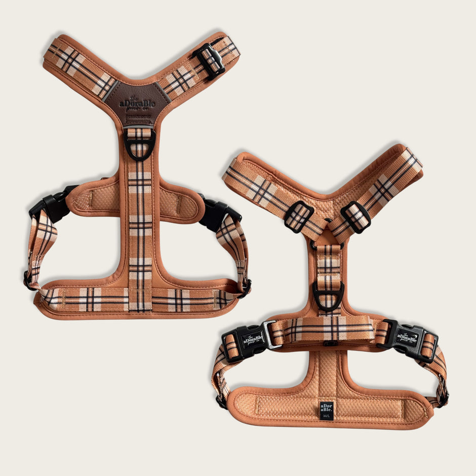 Streamline Pro Dog Harness – The aDoraBle Pooch Company